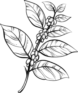 Trang chủ - Cofeli